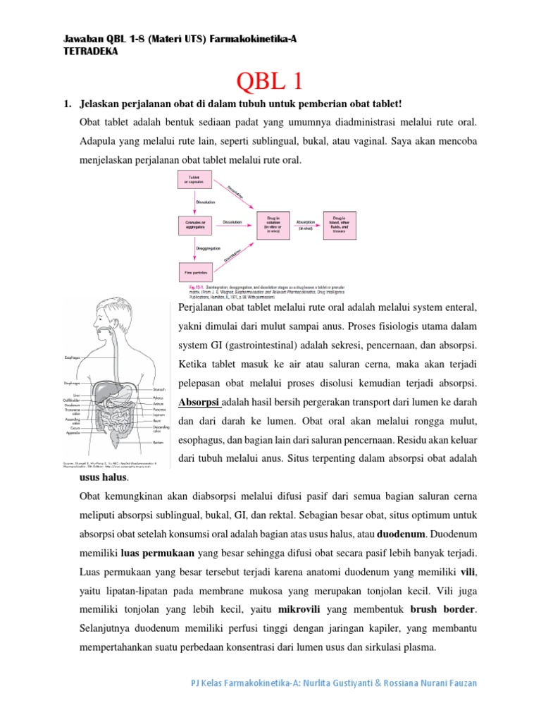 Compile QBL 1-8 Farkin Teori | PDF