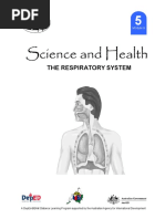 Respiratory System GRADE 6 | PDF | Respiratory Tract | Lung