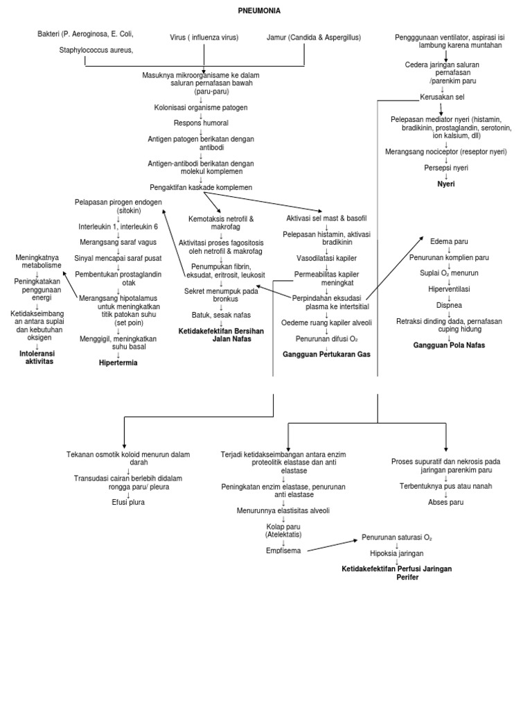 Pathway Pneumonia | PDF