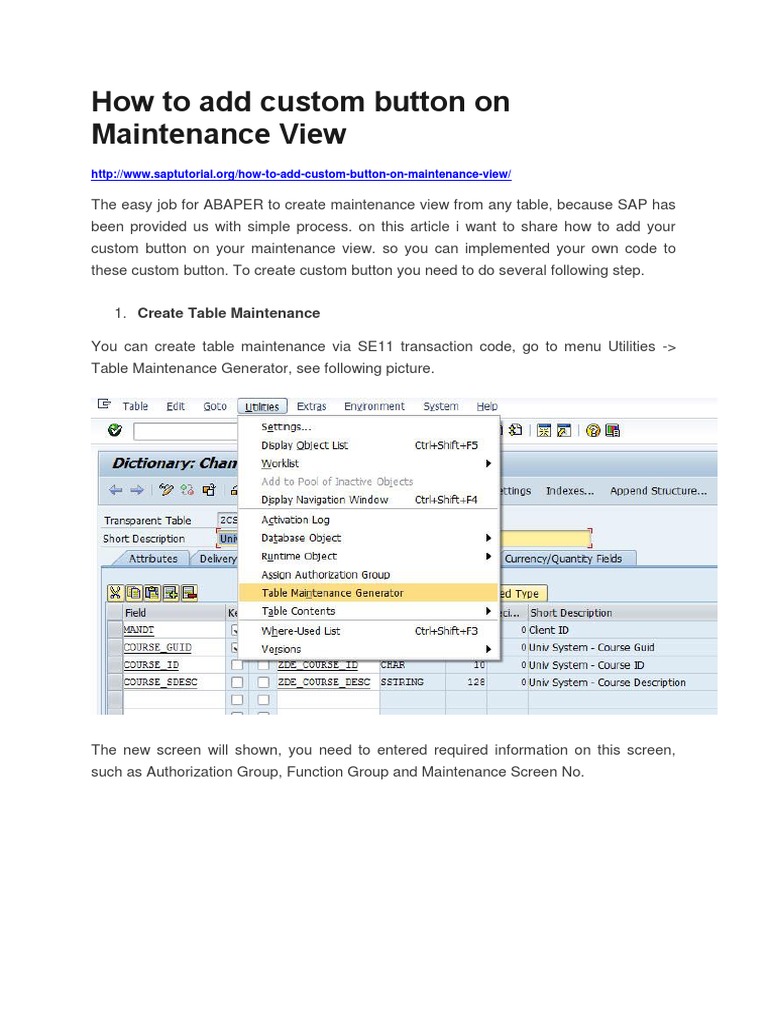 Adding Custom Button to SAP Maintenance View | PDF | Graphical User ...
