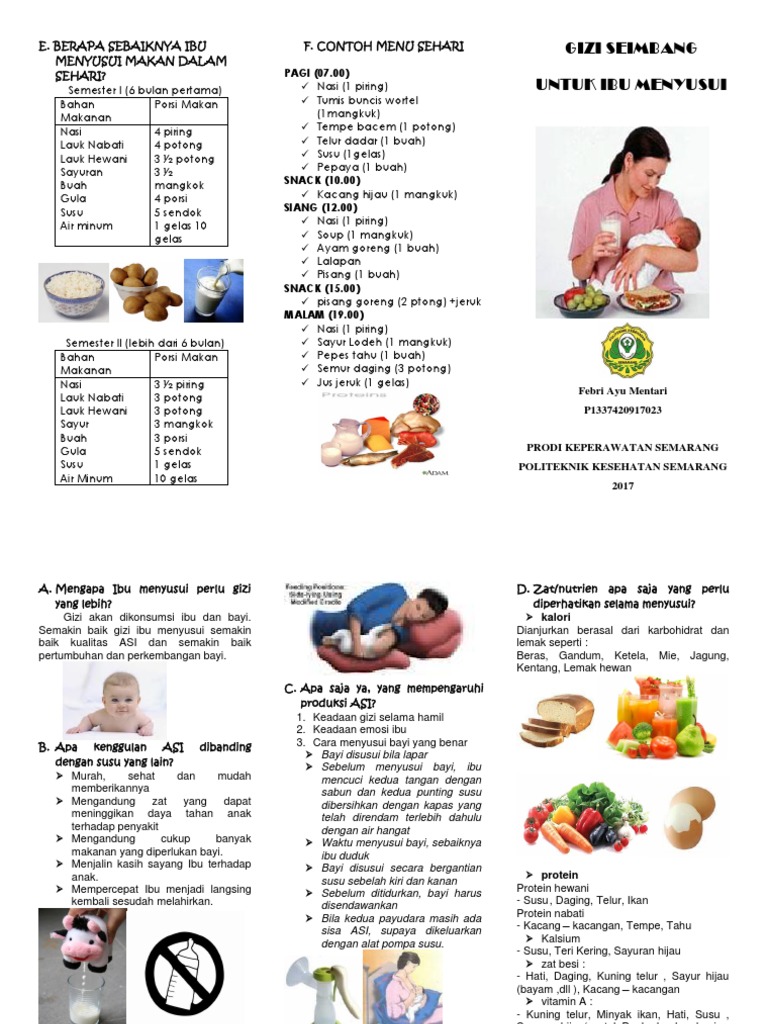 Leaflet Gizi Ibu Menyusui | PDF