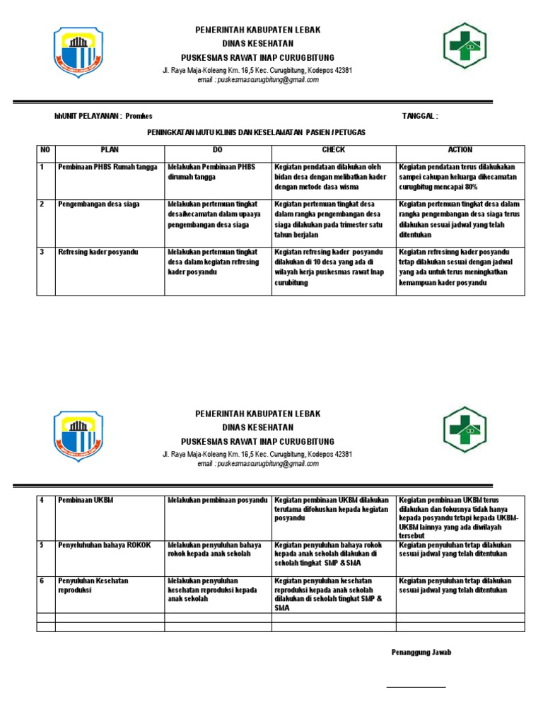 Pdca Tiap Unit | PDF
