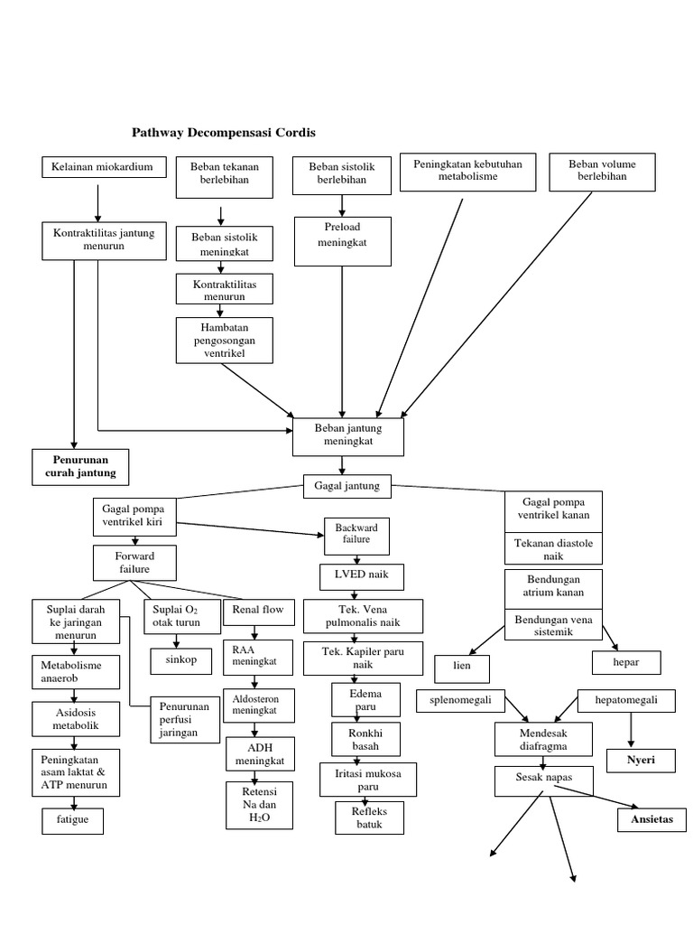 Pathway Decompensasi Cordis | PDF