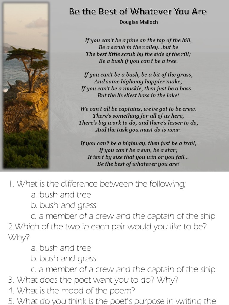 Be the Best of Whatever You Are | PDF | Language Arts & Discipline