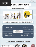 Triptico Nom 019 | PDF | Ciencias de la Salud