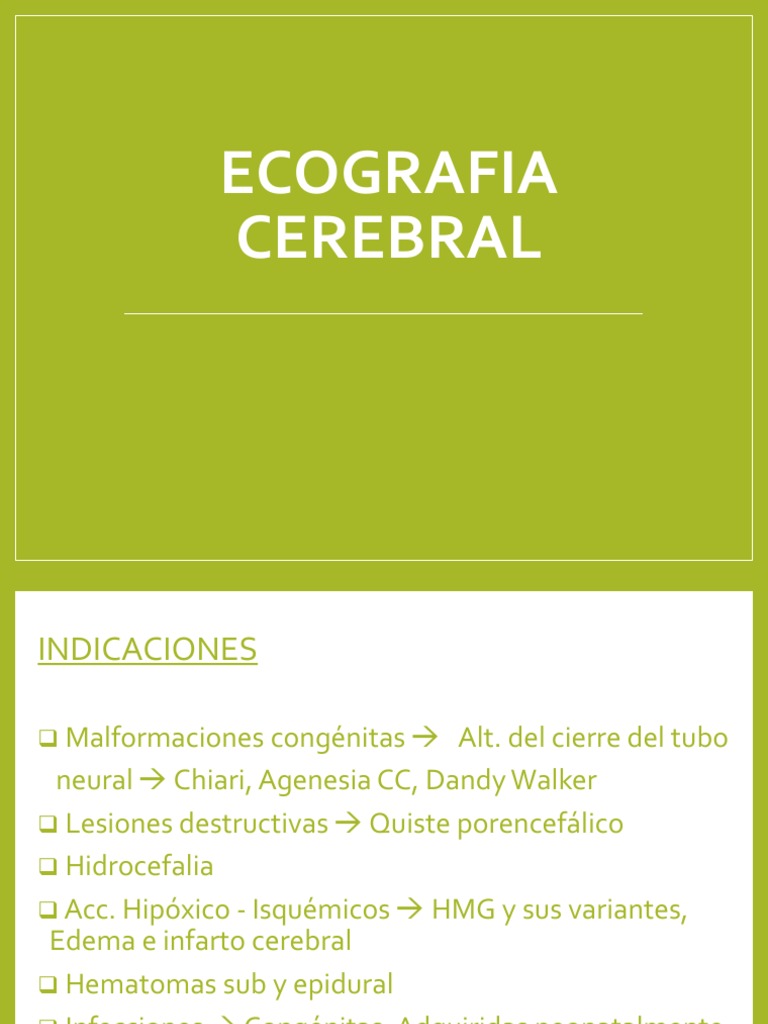 Eco Cerebro | PDF | Cerebelo | Cráneo