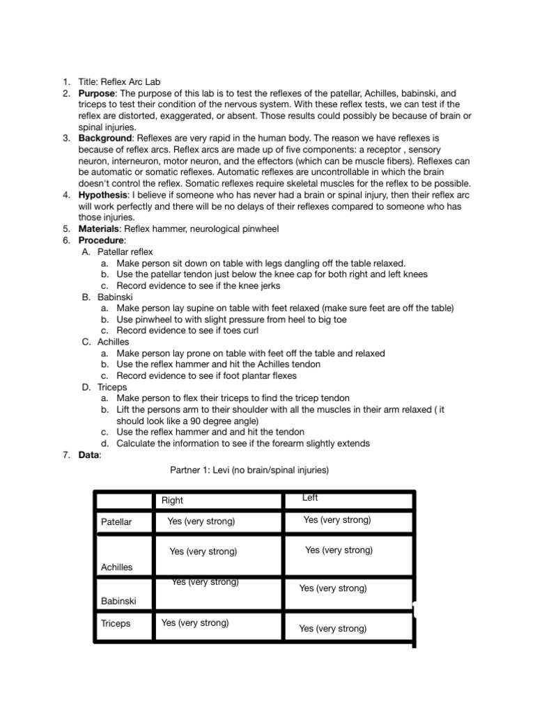 Reflex Arc Lab | PDF | Foot | Musculoskeletal System