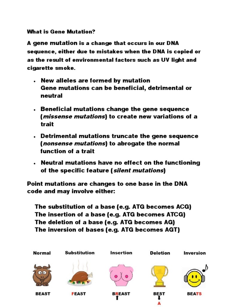 What is a Gene Mutation? DNA Changes and Their Effects | PDF