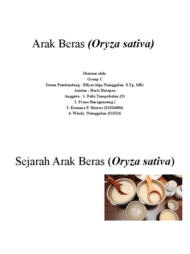 Power Point Arak Beras (Oryza Sativa) | PDF