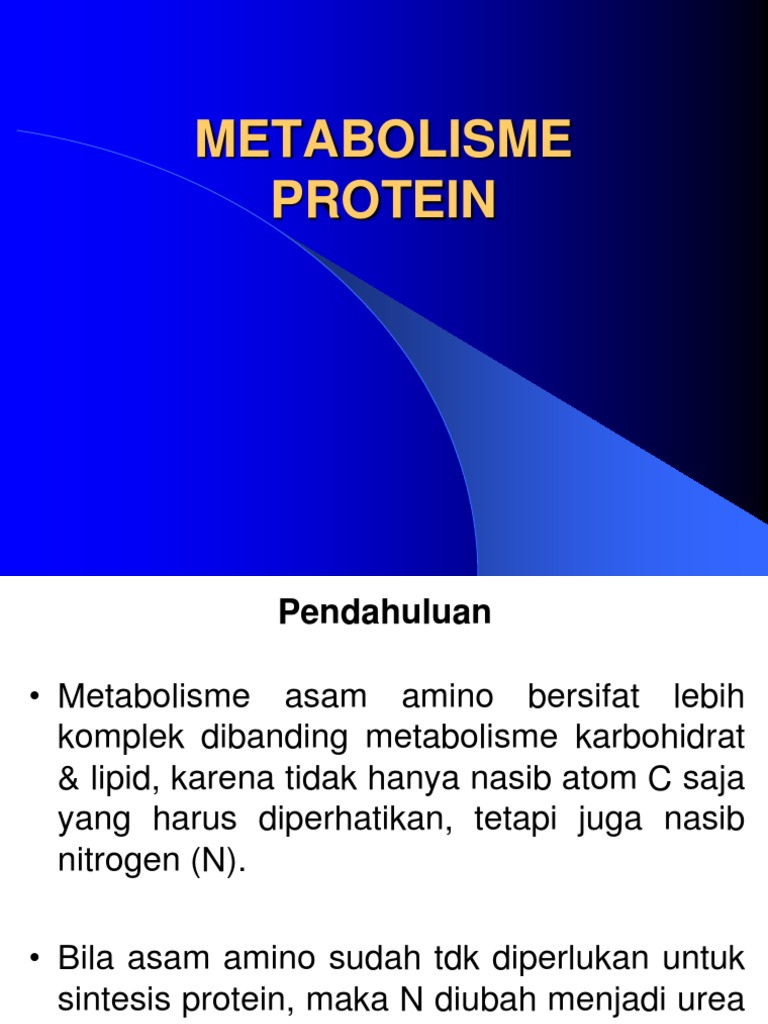 3 Metabolisme Protein | PDF | Sains & Matematika