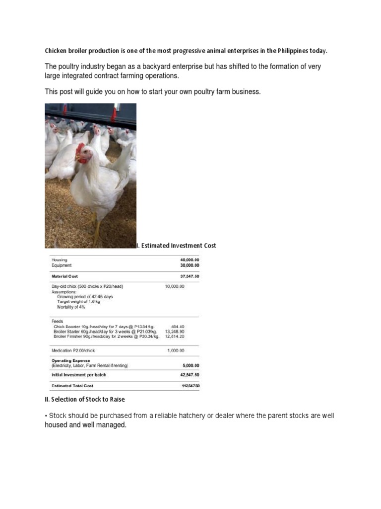 Guide to Broiler Chicken Farming | PDF | Poultry Farming | Livestock