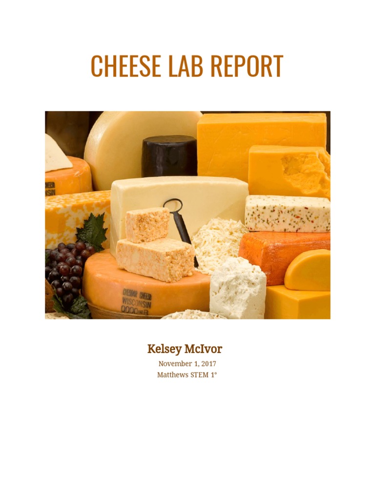 Cheese Lab Report | PDF | Biotechnology | Molecular Biology