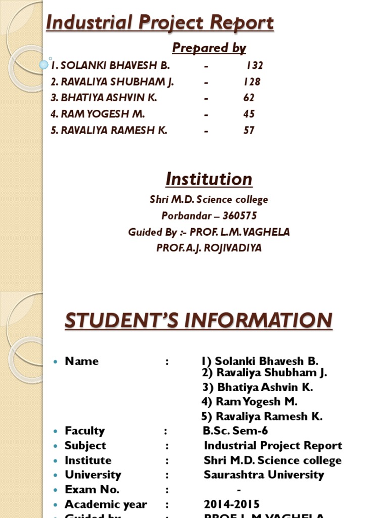 Industrial Project Report | PDF | Capital Structure | Mining