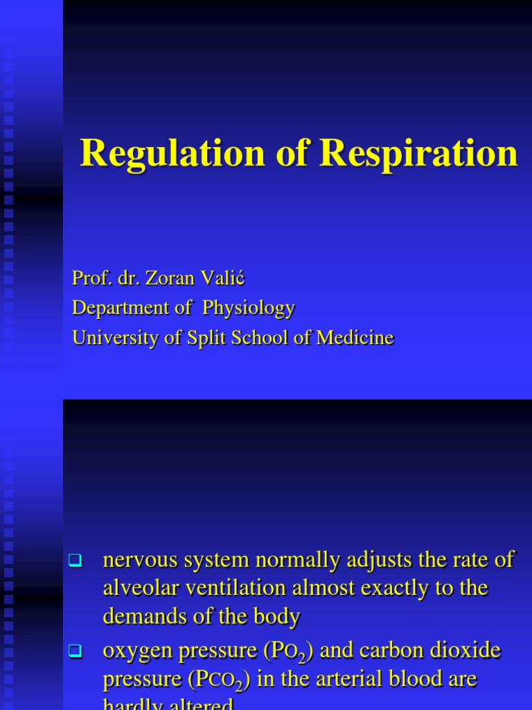 25) Regulation of Respiration | PDF | Breathing | Sleep Apnea
