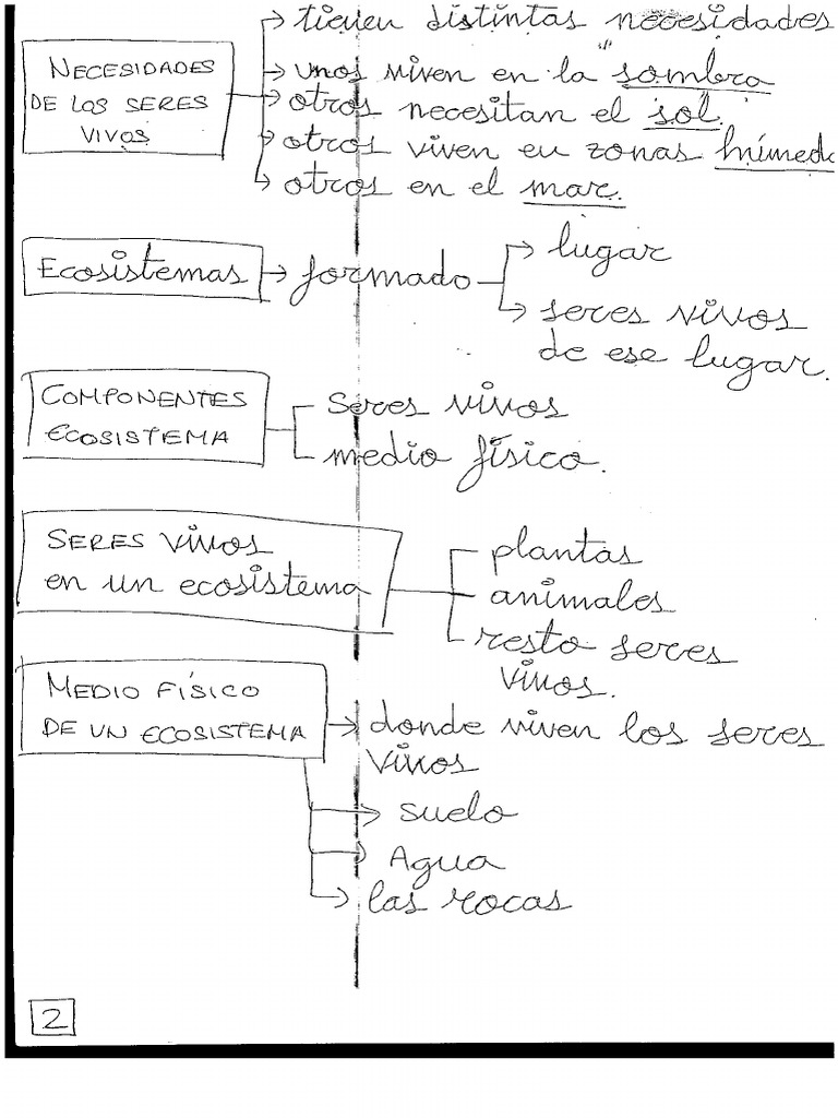 Esquema de Los Ecosistemas | PDF