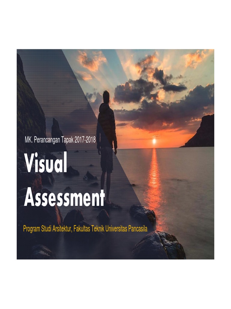Visual Assessment | PDF