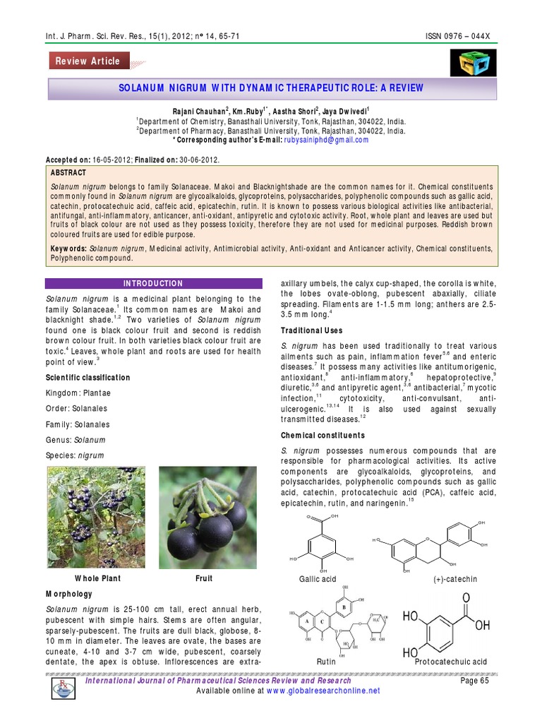 Solanum Nigrum With Dynamic Therapeutic Role | Antibiotics | Antioxidant