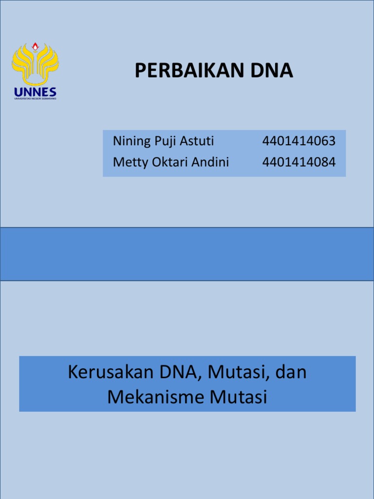 Perbaikan DNA | PDF