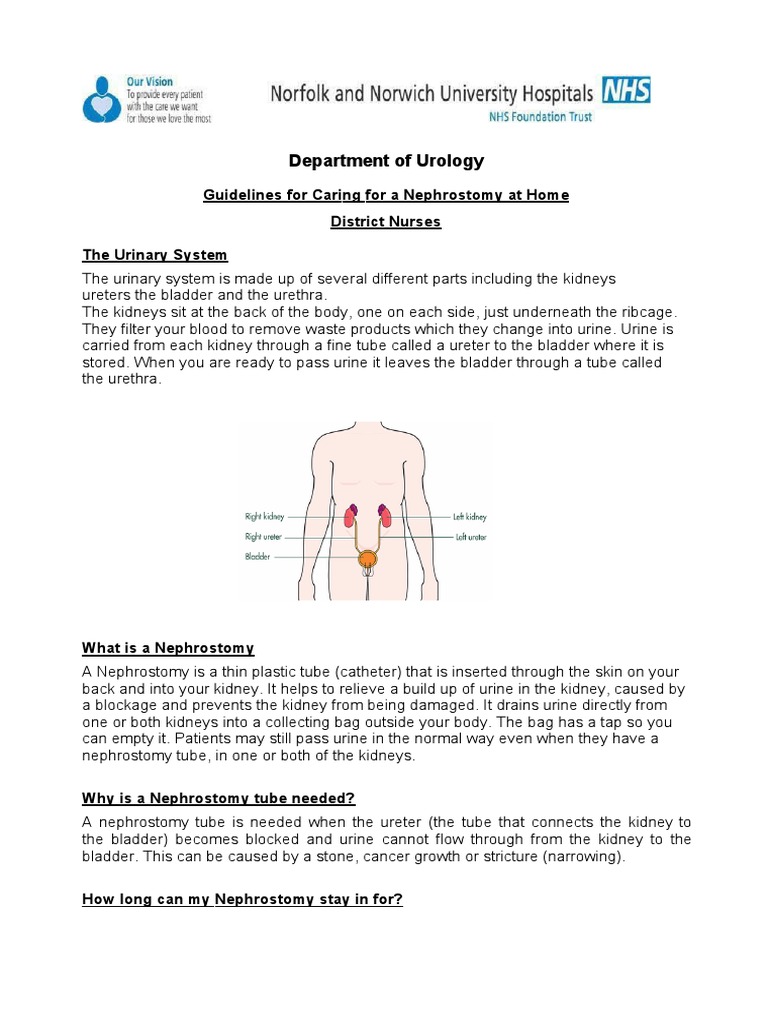 Nephrostomy Tube Care at Home Guide | PDF | Urinary System | Urinary ...