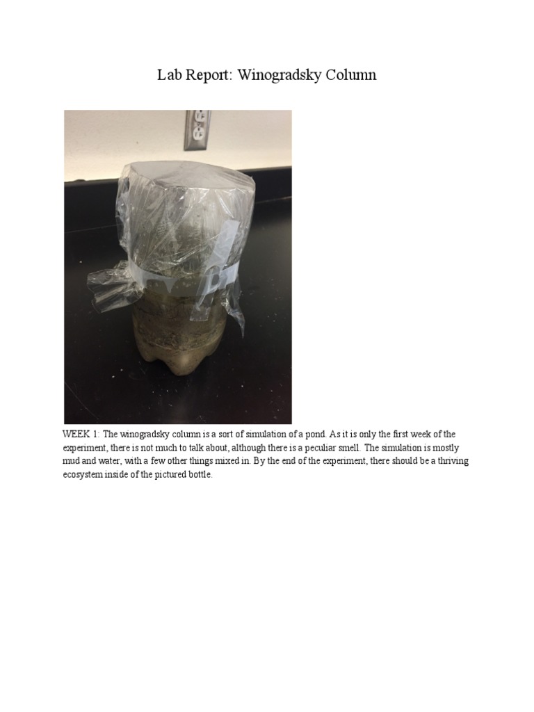 Lab Report Winogradsky Column | PDF