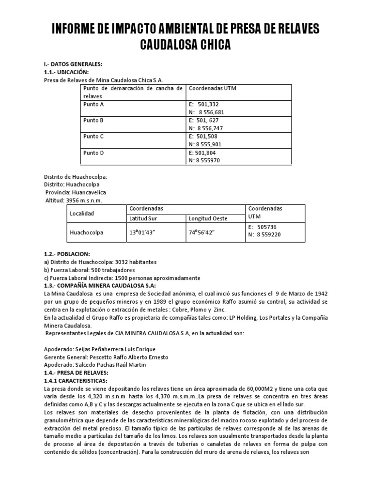 35165098-INFORME-DE-IMPACTO-AMBIENTAL-EN-HUANCAVELICA.pdf | Minería ...