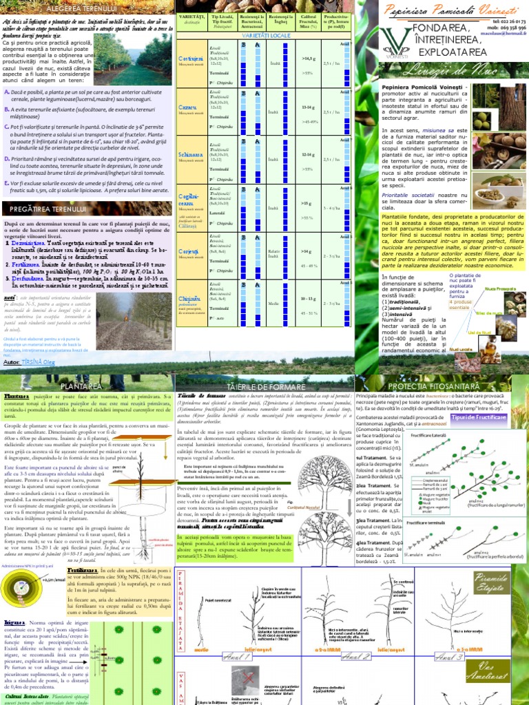 Fondarea Livezii de Nuc PDF | PDF