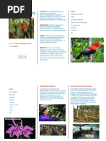 Relieves de La Selva Alta | PDF