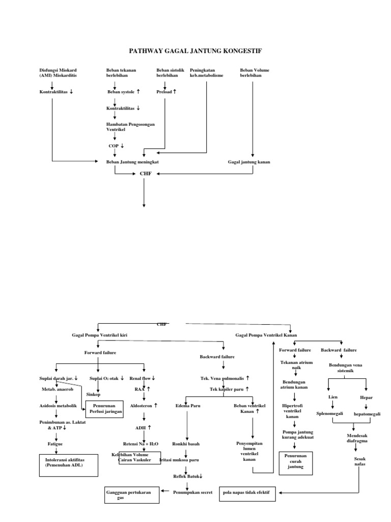 Pathway Gagal Jantung Kongestif | PDF