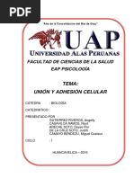 Las Uniones GAP | PDF | Músculo | Contracción muscular