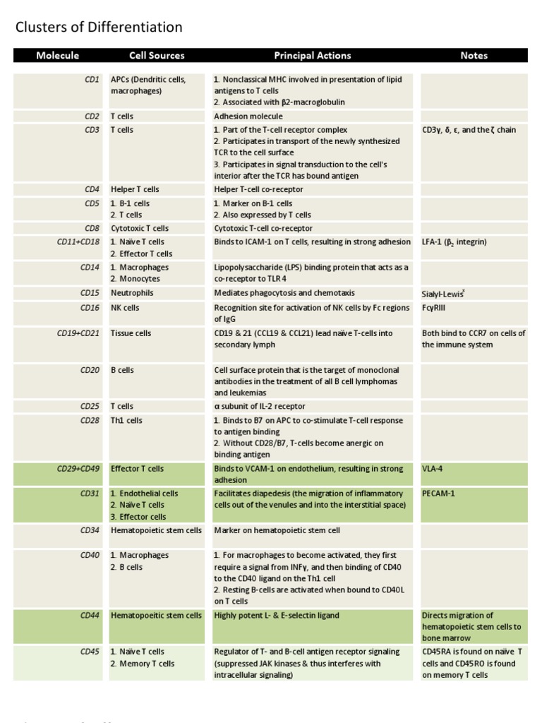 Clusters of Differentiation | PDF | T Cell | T Helper Cell