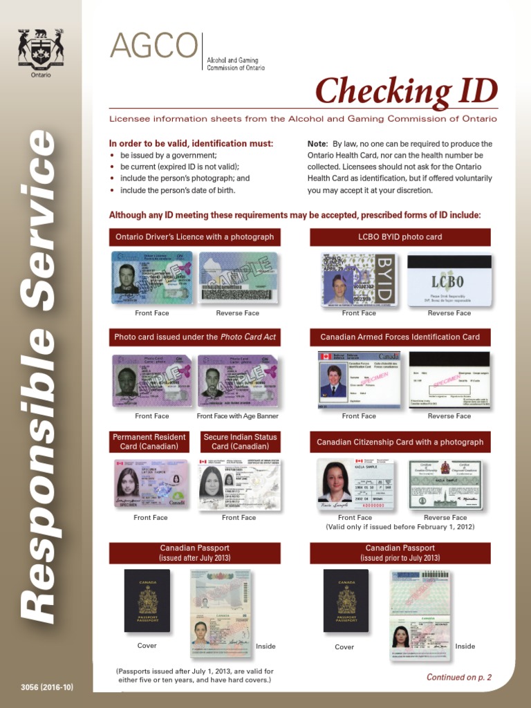 Check Id | PDF | Identity Document | Government And Personhood