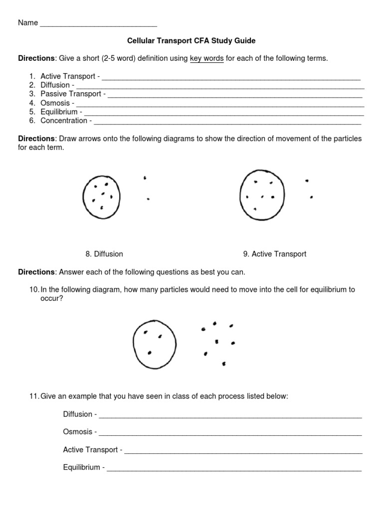 Cell Transport Study Guide | PDF
