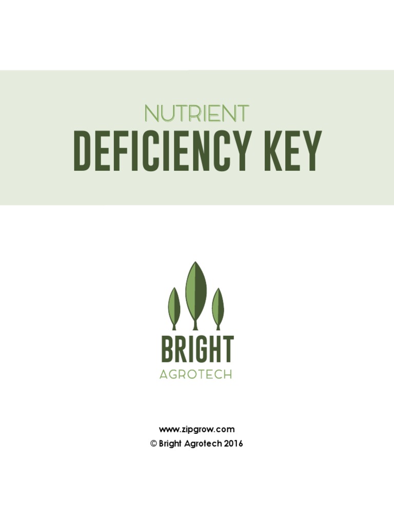 Nutrient Deficiency Key Bright Agrotech | PDF | Plant Nutrition | Potassium