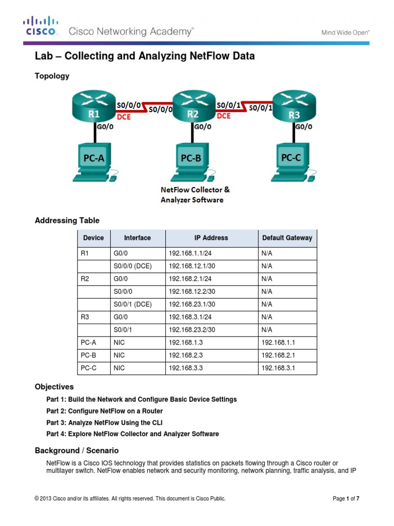 8.3.3.3 Lab - Collecting and Analyzing NetFlow Data | PDF | Network Layer Protocols | Computer ...