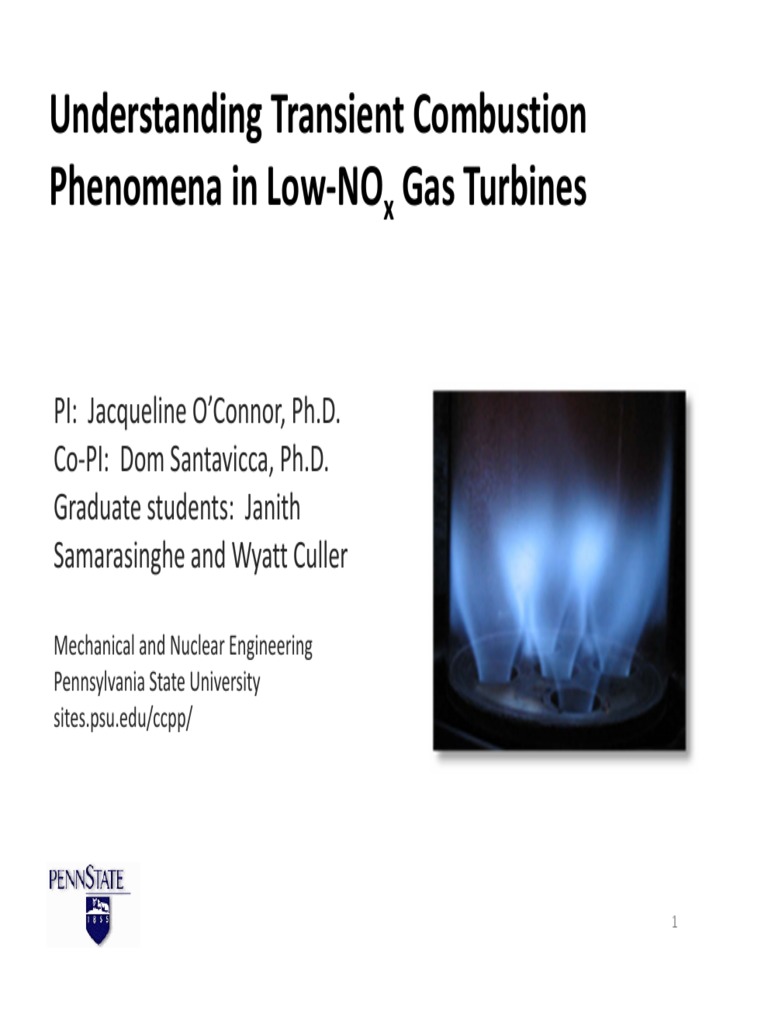 Understanding the Onset of Combustion Instabilities During Transient Operation in Low-NOx Gas ...