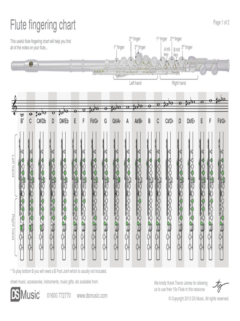Flute Fingering Chart Warna PDF | PDF