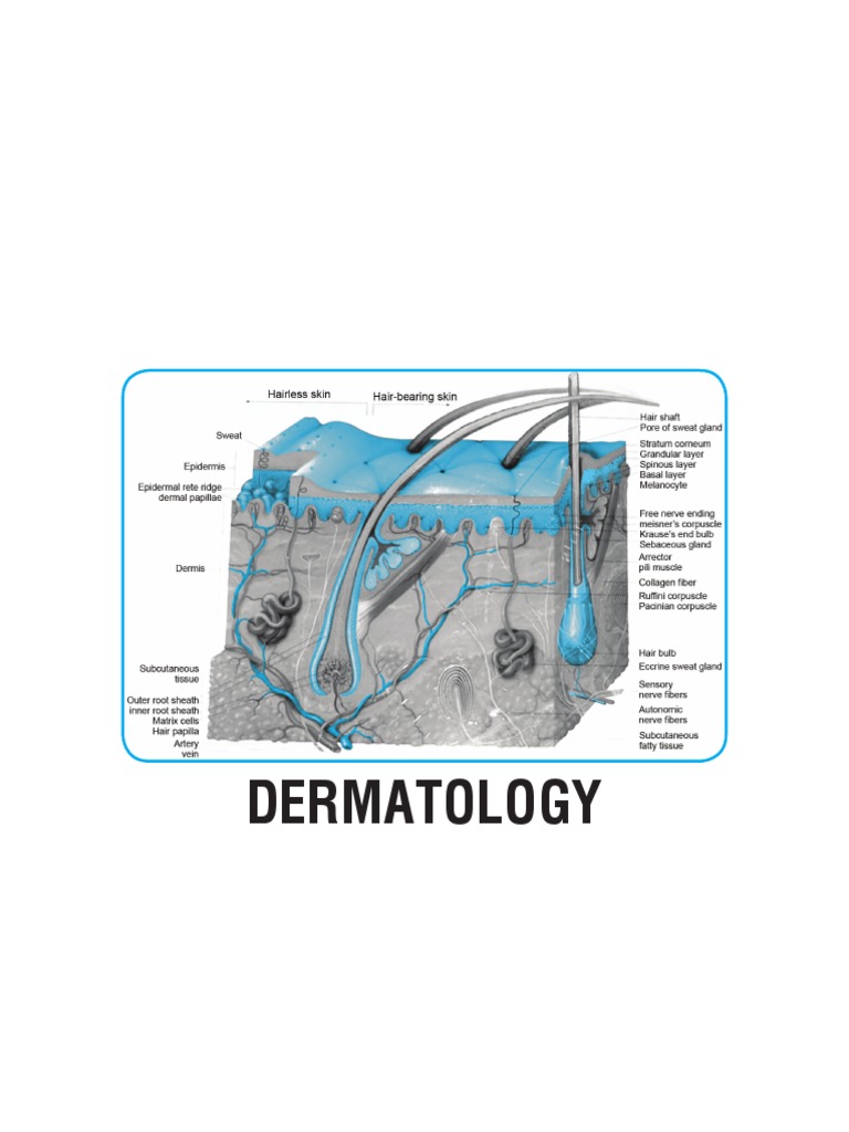 Derma Notes | Integumentary System | Immunology