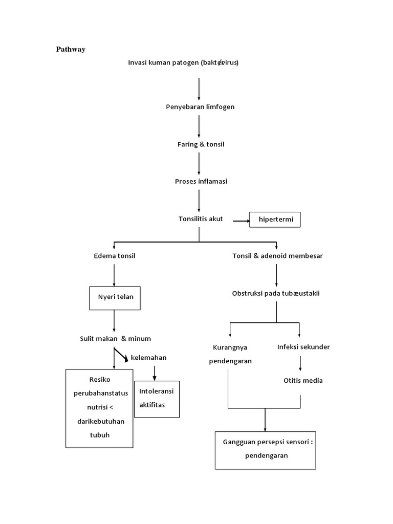 Pathway Tonsilitis Pdf