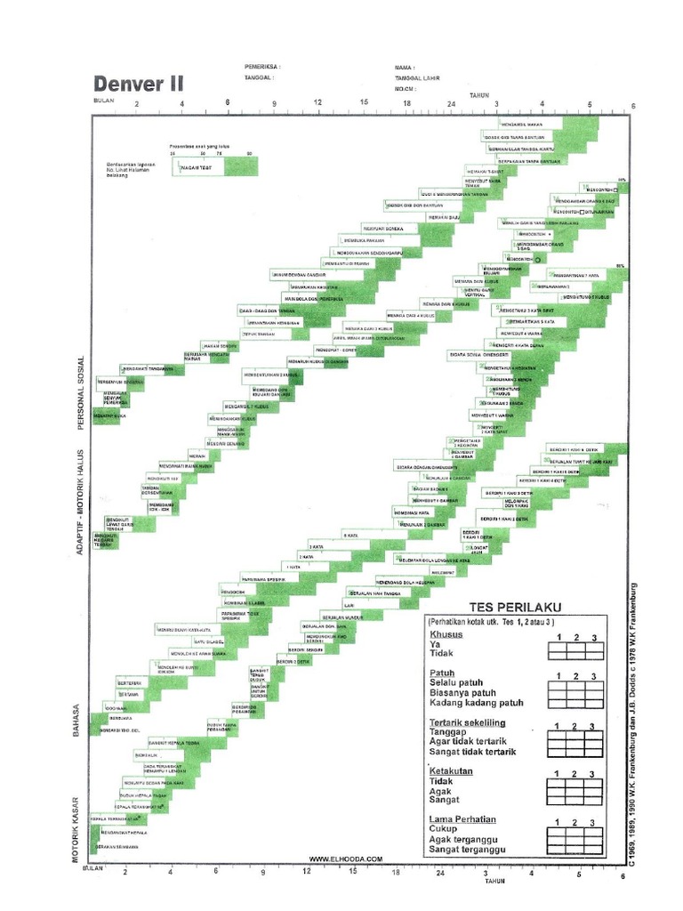 Formulir DDST II Denver Development Scre | PDF