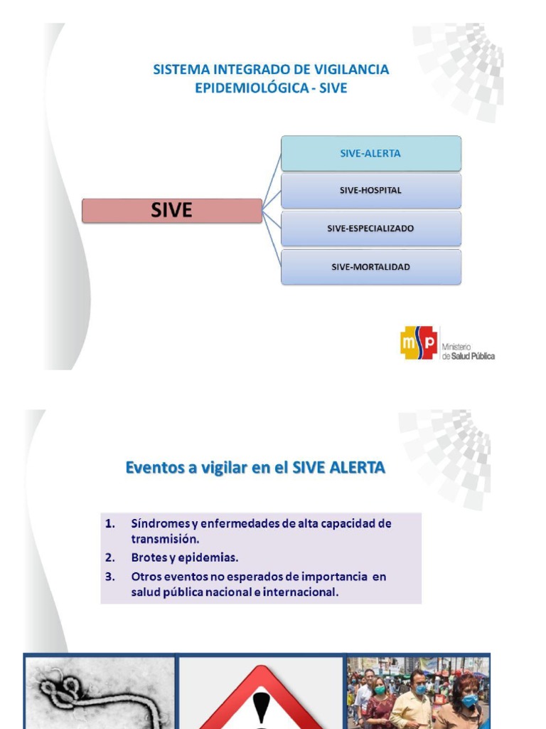 SIVE | PDF