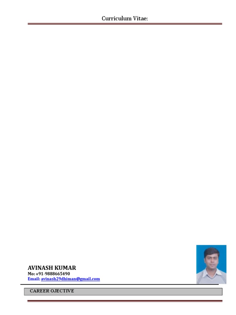 Curriculum Vitae:: Avinash Kumar | PDF | Computing | Business
