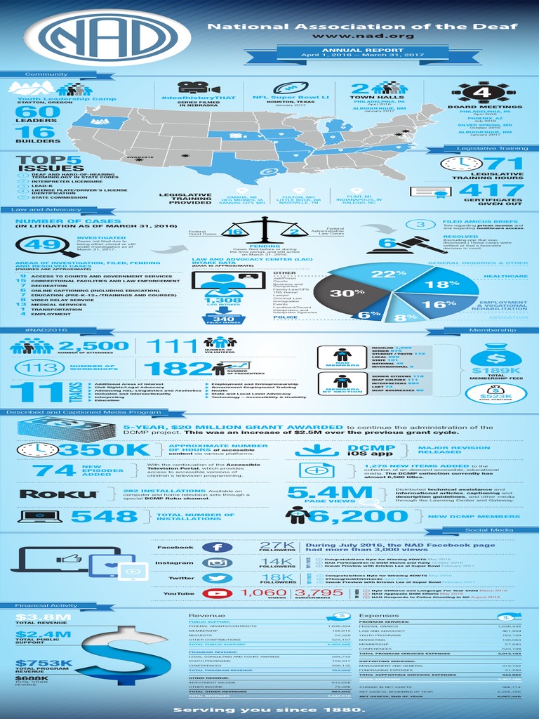 NAD 2017 Infographic Poster | Download Free PDF | Revenue | Facebook