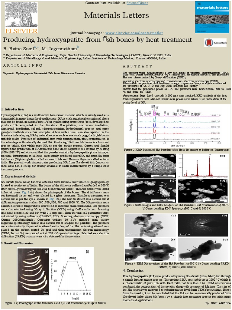 Poster | Scanning Electron Microscope | Transmission Electron Microscopy