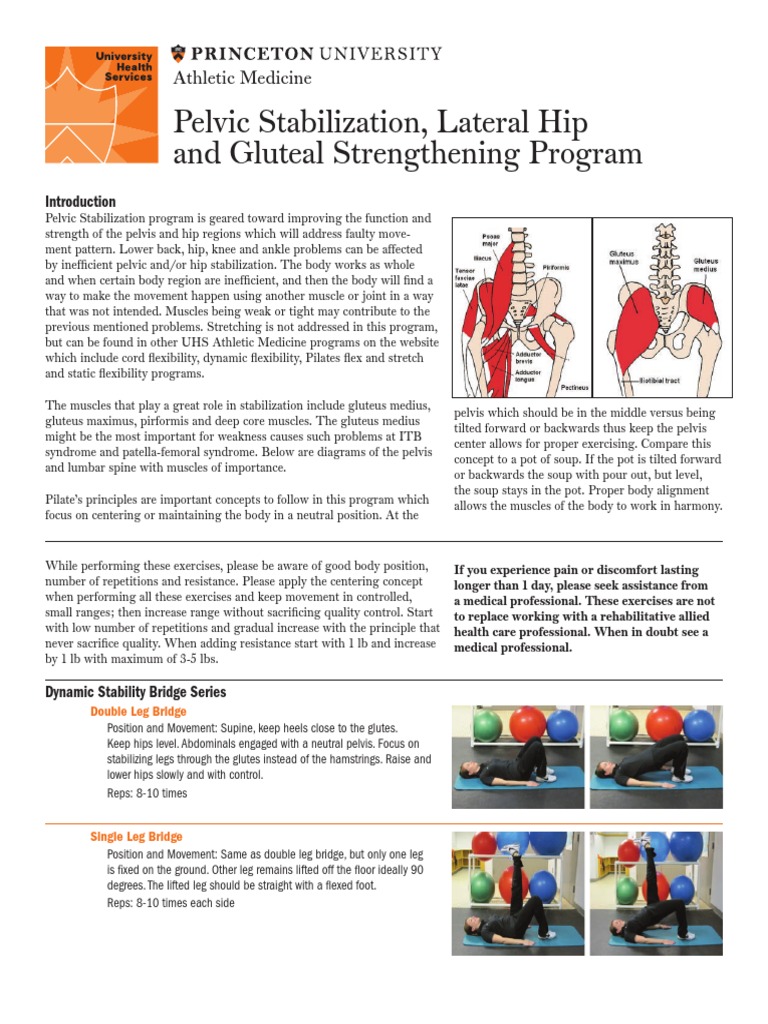 Pelvic Stabilization Hip Strengthening | PDF | Anatomical Terms Of ...