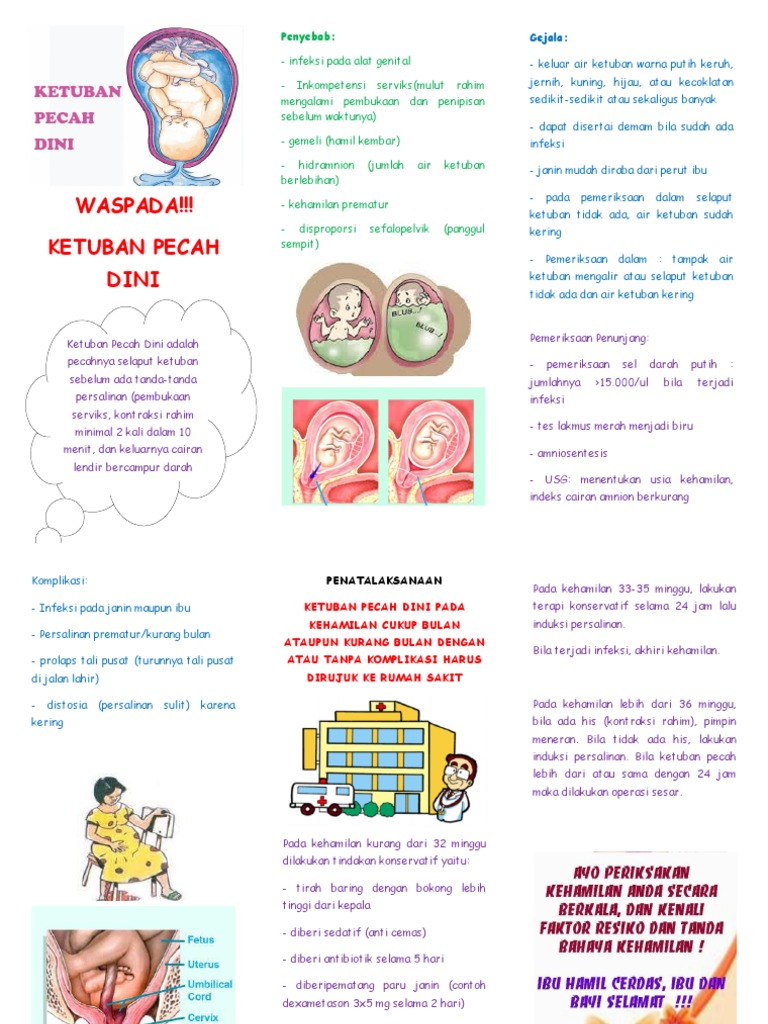 Leaflet KPD Edit | PDF