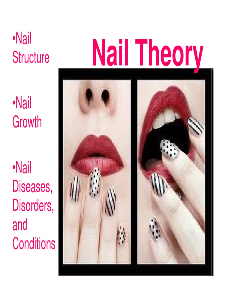Nail Theory | PDF | Nail (Anatomy) | Integumentary System