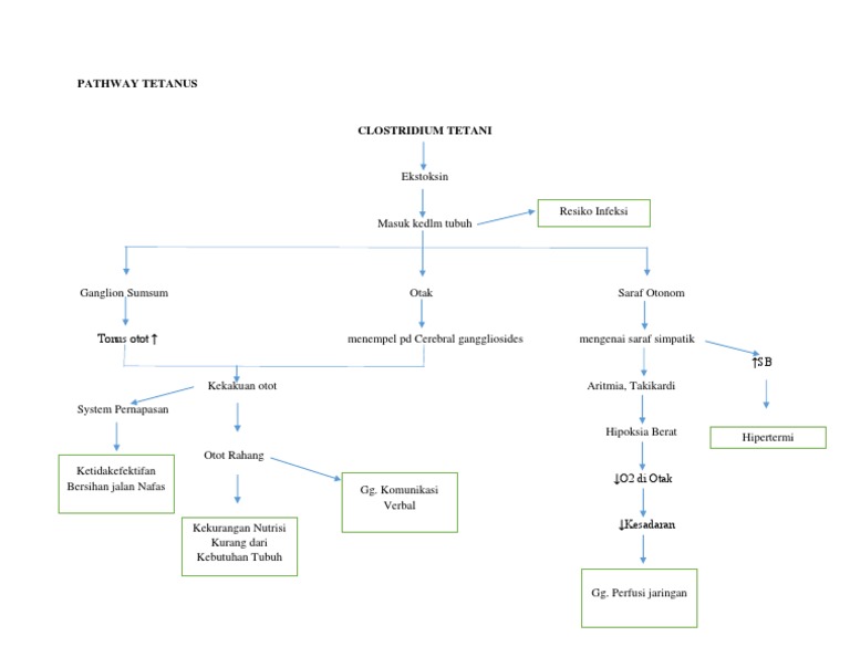Pathway Tetanus pada Bayi | PDF