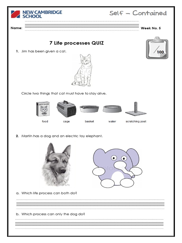 7 Life processes QUIZ: Name: Week No. 5