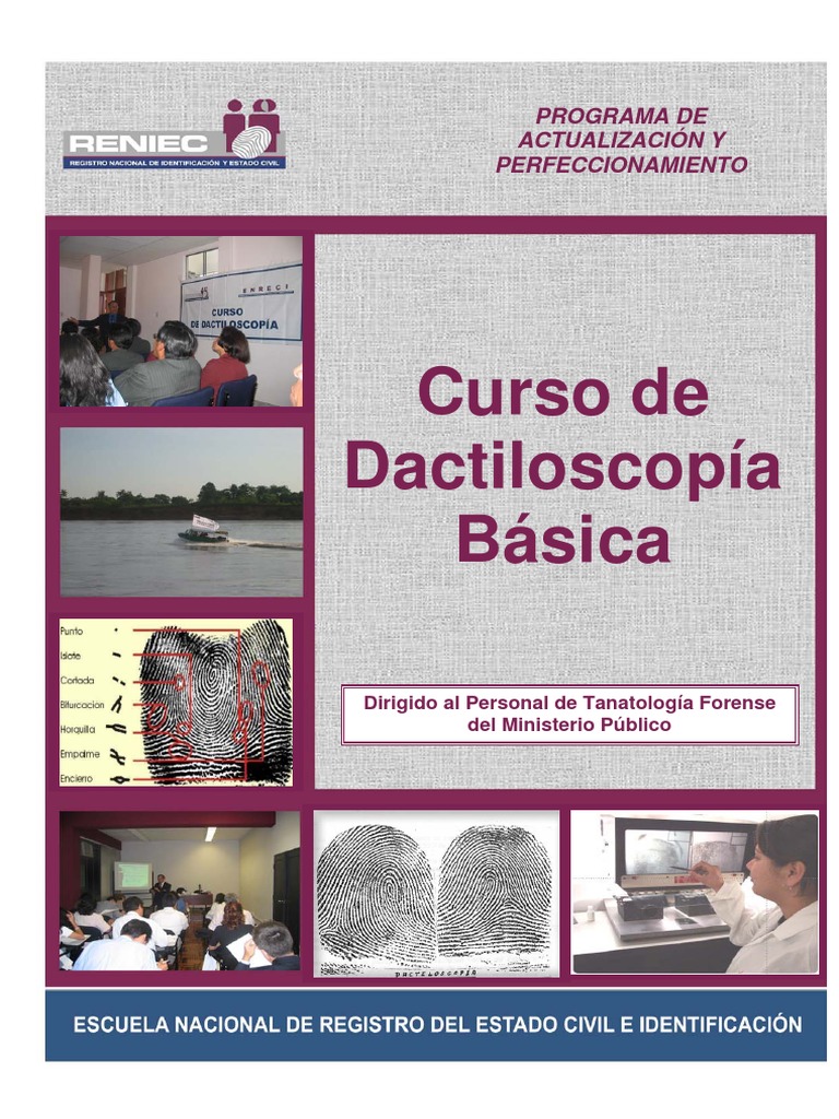 Dactiloscopia Básico-Ministerio Público | PDF | Huella dactilar | Science