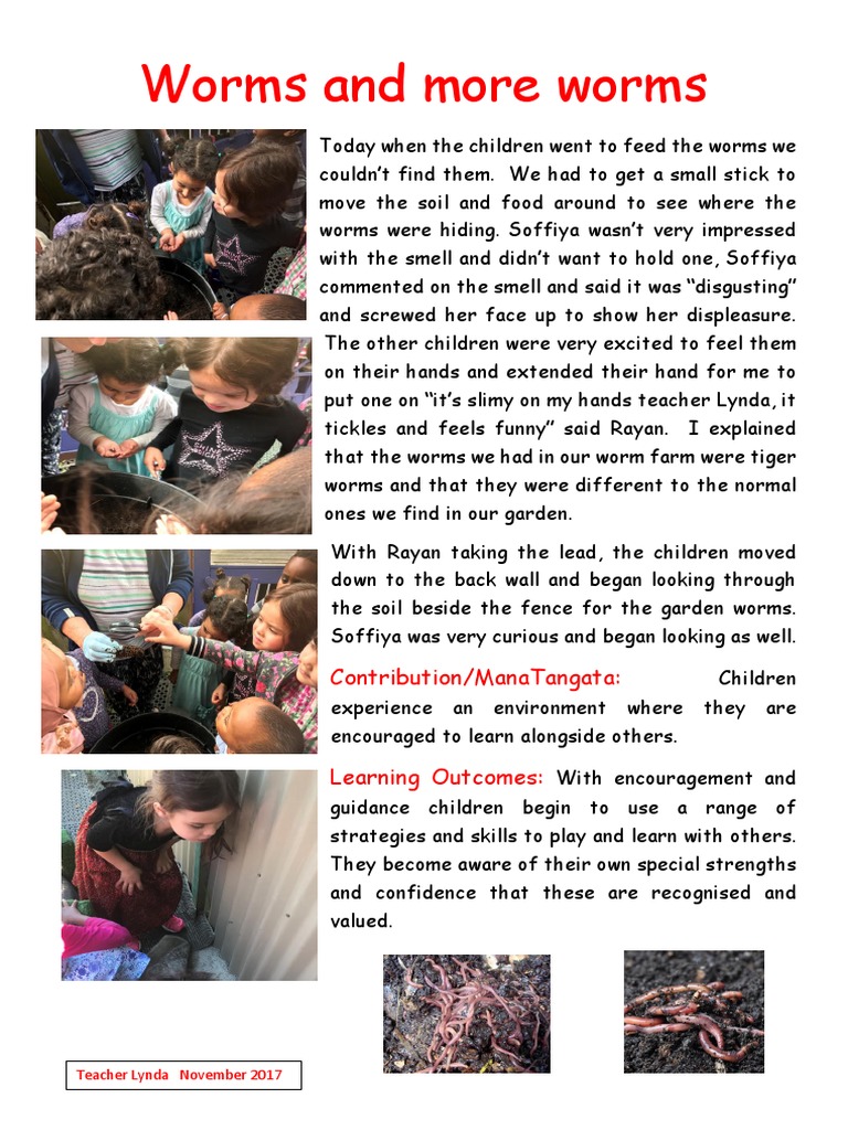 Worms and More Worms | PDF